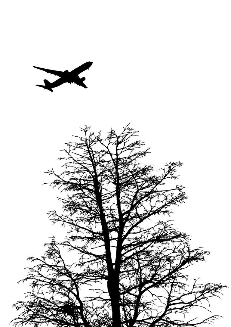 Plane Tree Vector Stock Illustrations – 9,894 Plane Tree Vector Stock ...