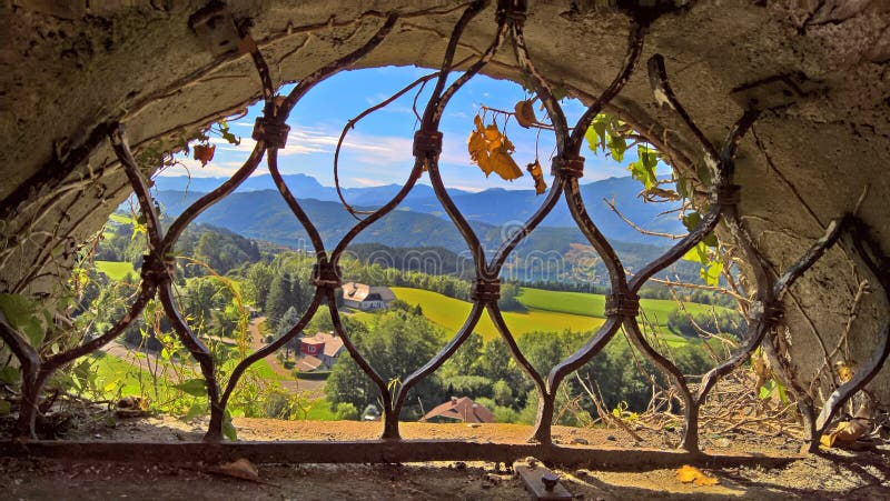 Tree, Plant, Branch, Arch Picture. Image: 131684183