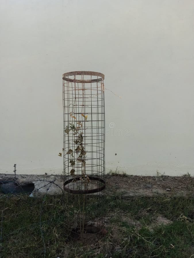 Tree and Plant Guard or Protector Stock Image - Image of metal, concept ...