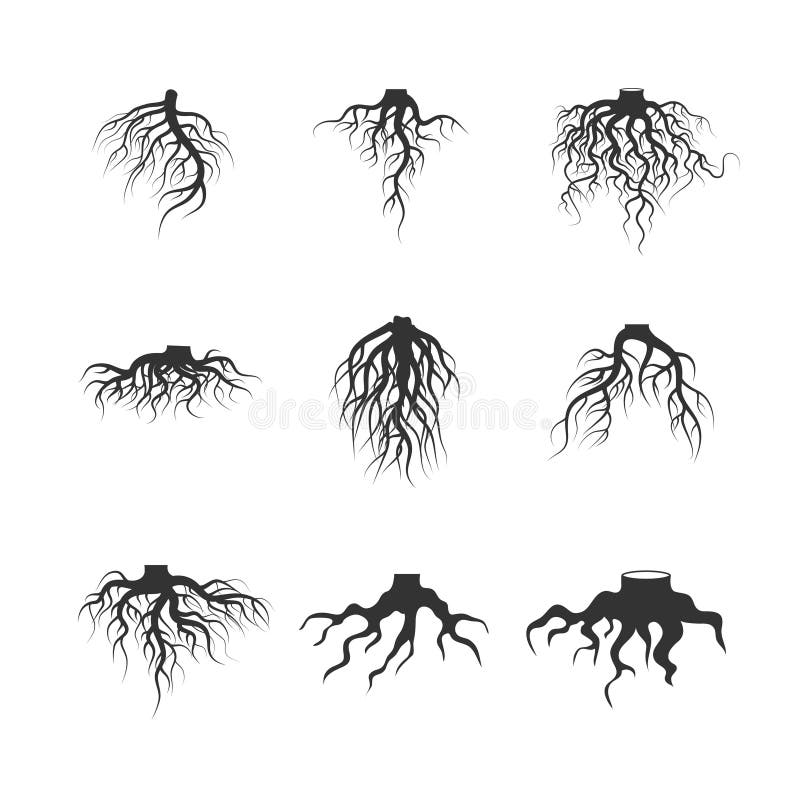 Tree and Plant Underground Roots Vector Set Stock Vector - Illustration ...