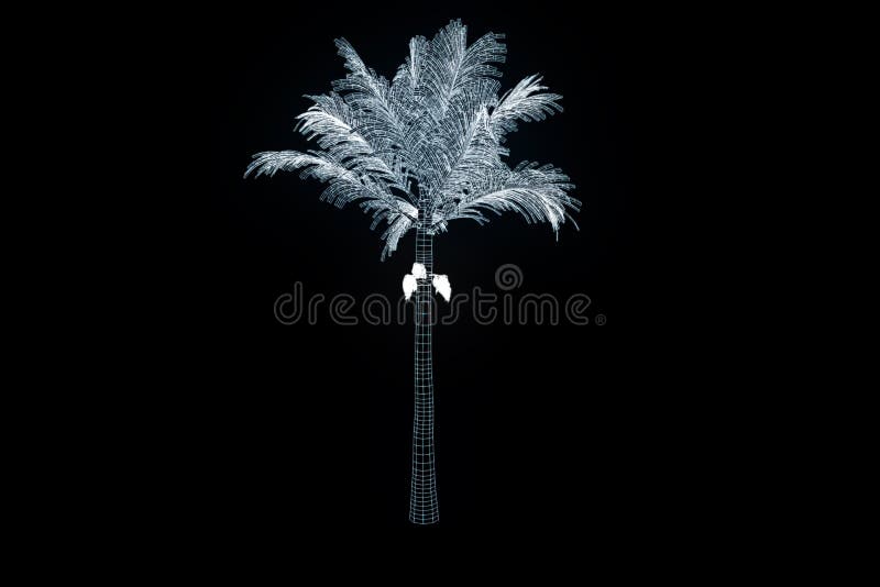 Tree Plant in Wireframe Hologram Style. Nice 3D Rendering Stock ...