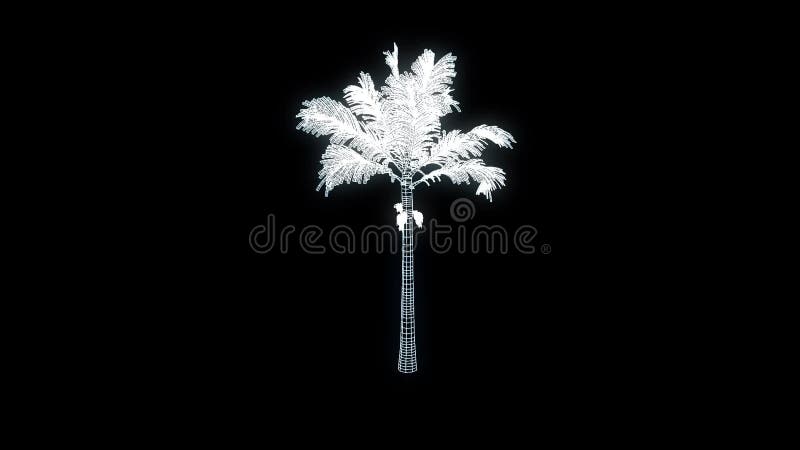 Tree Plant in Wireframe Hologram Style. Nice 3D Rendering Stock Video ...