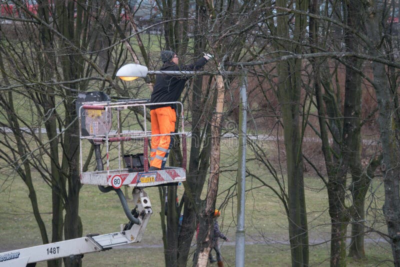 Tree, Plant, Woody Plant, Vehicle Picture. Image: 119317349