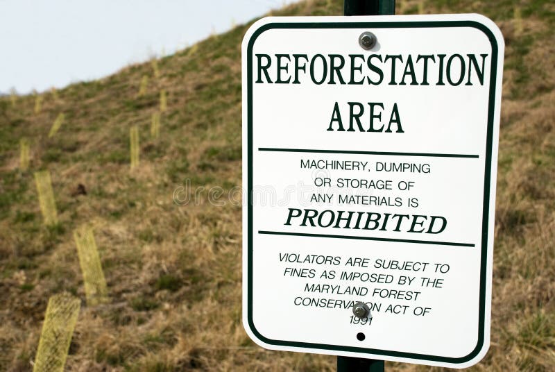 Tree Planting stock photo. Image of care, conserve, grow - 8663968