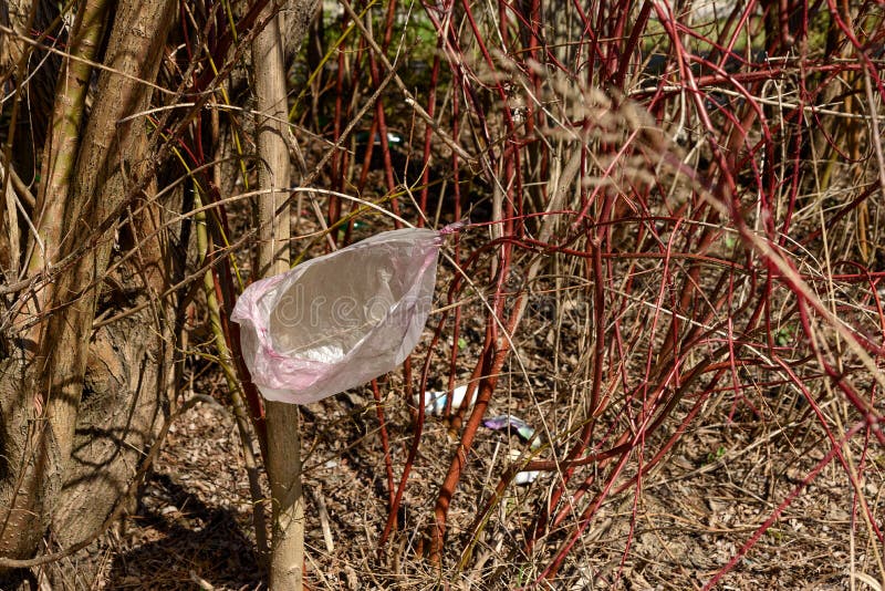 Tree with Plastic Bag at Illegal Landfill in Park. Environment ...