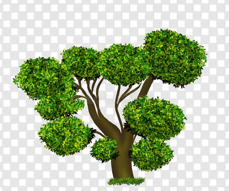 Tree Png with Dense Leave Isolated on Transparent Background Stock ... Tree Png with Dense Leave Isolated on Transparent Background Stock ...