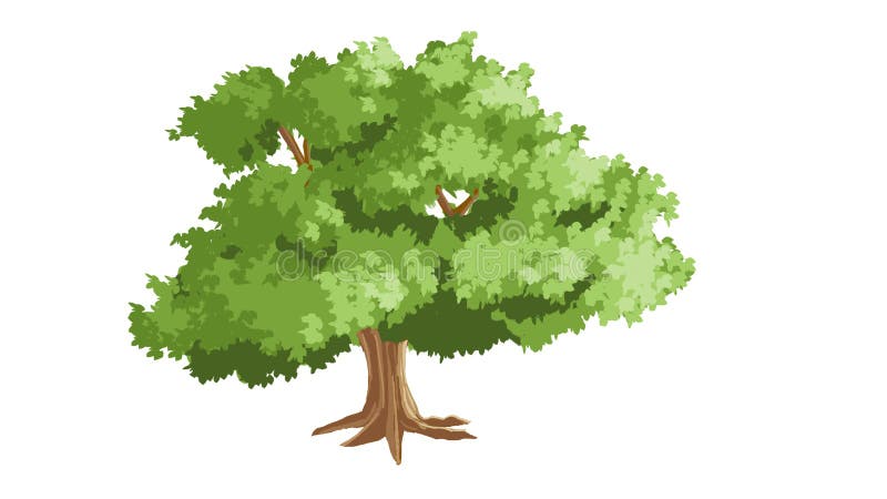 Narra Tree Clipart