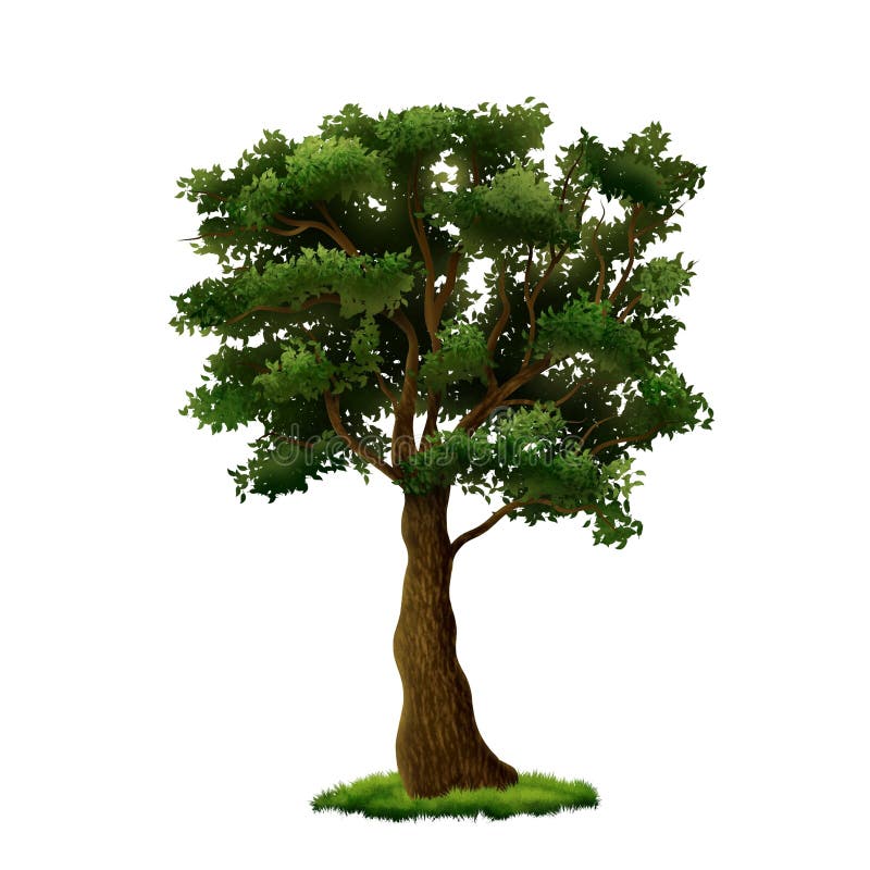 Tree Clipart Black Transparent Background Stock Illustrations – 131 ...