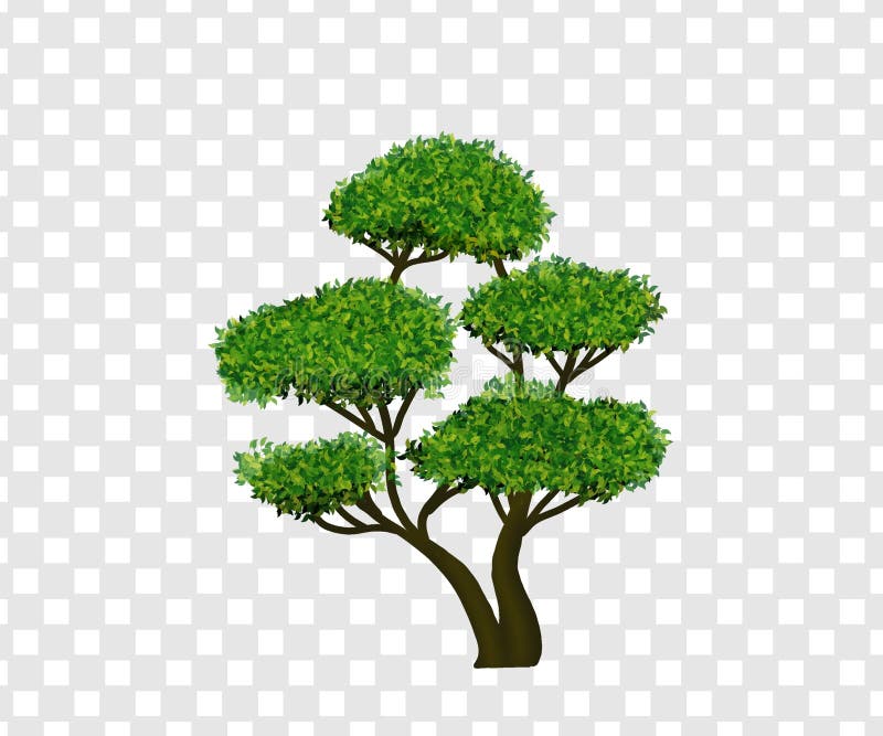 Tree Png Transparent Background Small Size Aditional Object Stock Photo ...