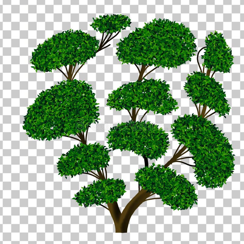 Tree Png Transparent Background Small Size Aditional Object Stock Photo ...