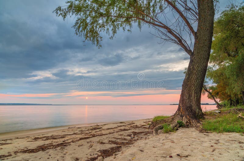 Tree on Pond Shore and Moon Rising Stock Image - Image of lake, cloud ...