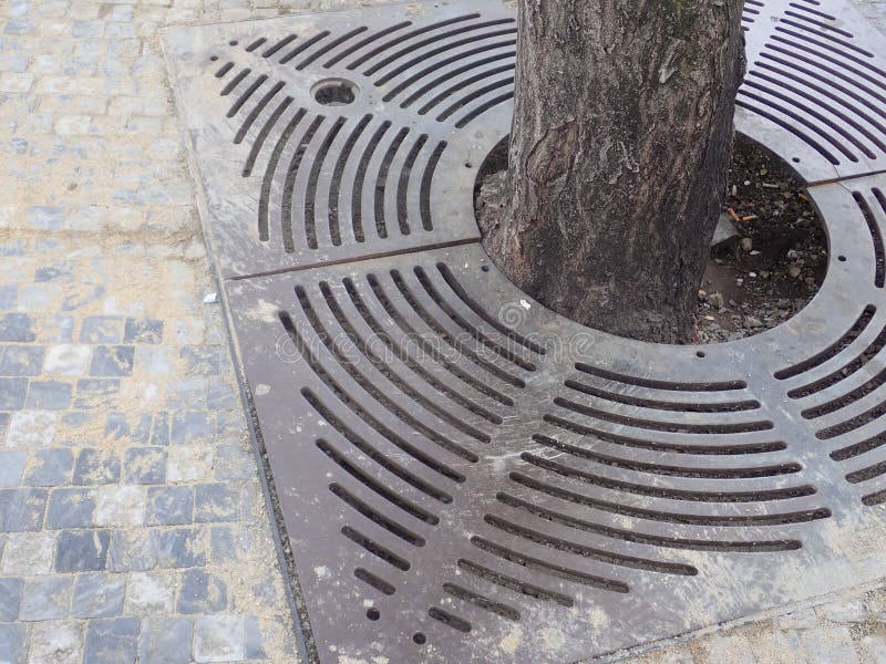Tree Pot in a Street Cobble Tiles Stock Photo - Image of tree, tileable ...