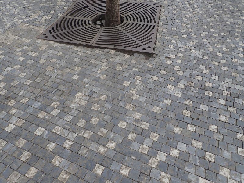 Tree Pot in a Street Cobble Tiles Stock Photo - Image of walkway ...