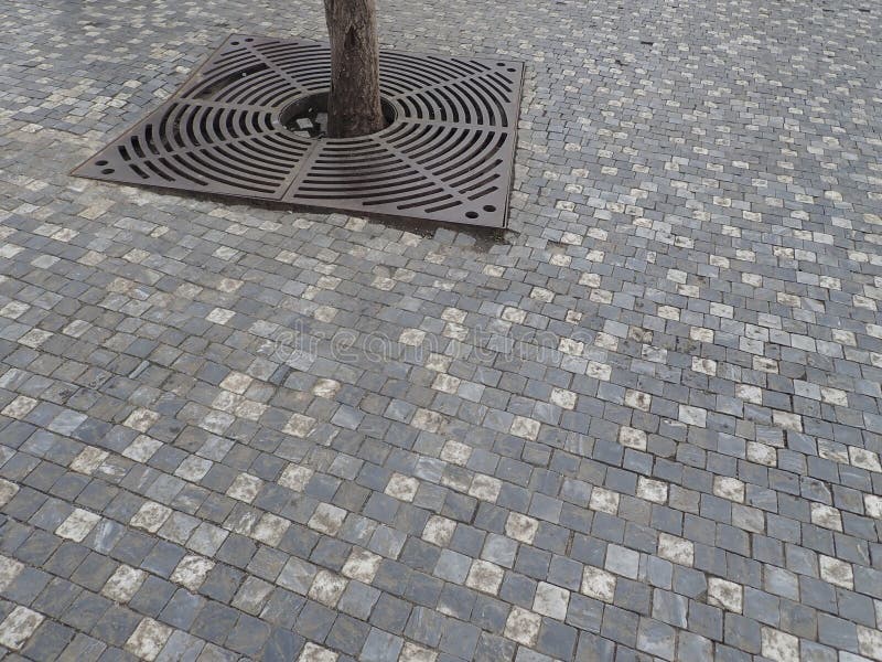 Tree Pot in a Street Cobble Tiles Stock Image - Image of traditional ...