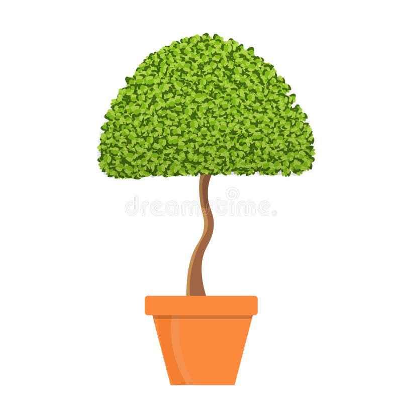 Tree in Pot Vector Illustration Stock Vector - Illustration of glade ...