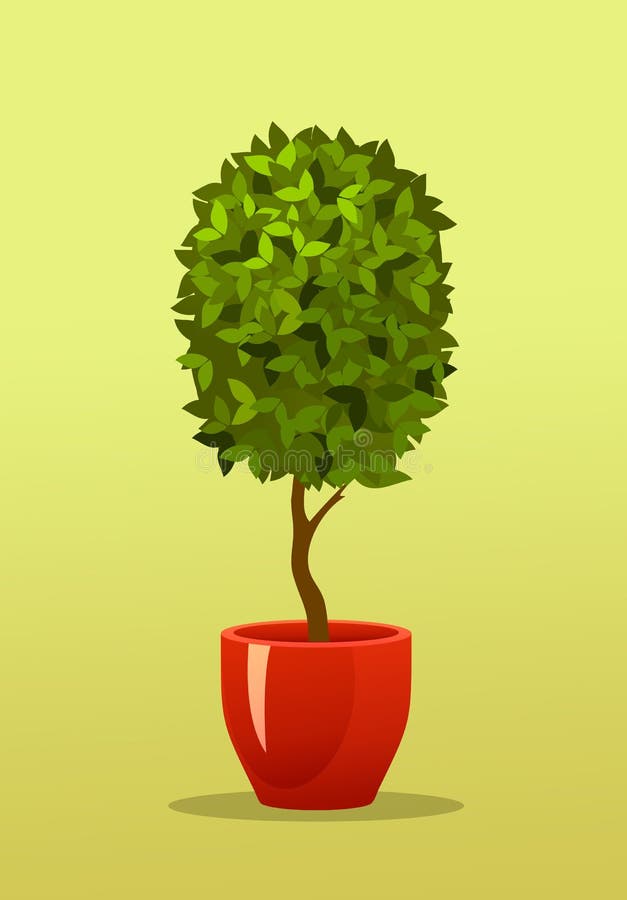 Tree in a pot stock vector. Illustration of boxwood, branch - 94354231