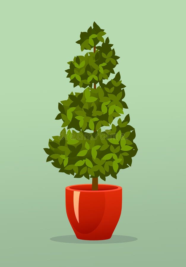 Tree in a pot stock vector. Illustration of foliage, dwarf - 96907948