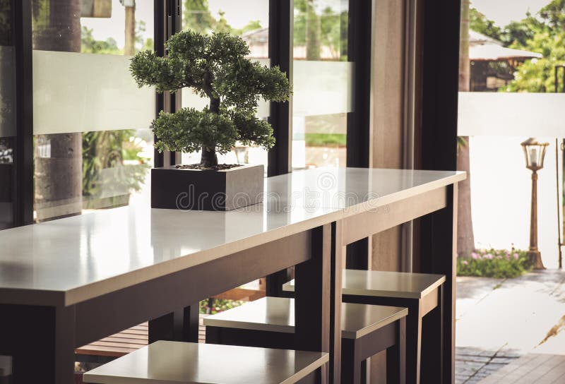 Tree Pots Placed on the Table of a Coffee Shop Stock Photo - Image of ...
