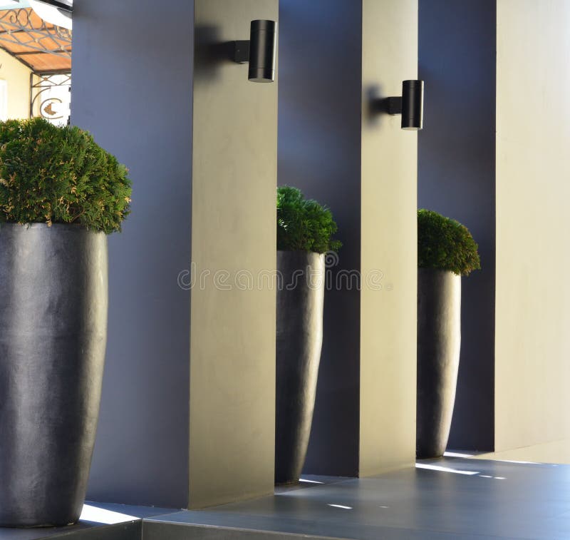 Tree in pots street stock image. Image of building, houseplant - 69681135