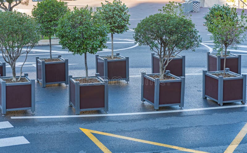 Tree Pots stock photo. Image of plants, decor, riviera - 162621128