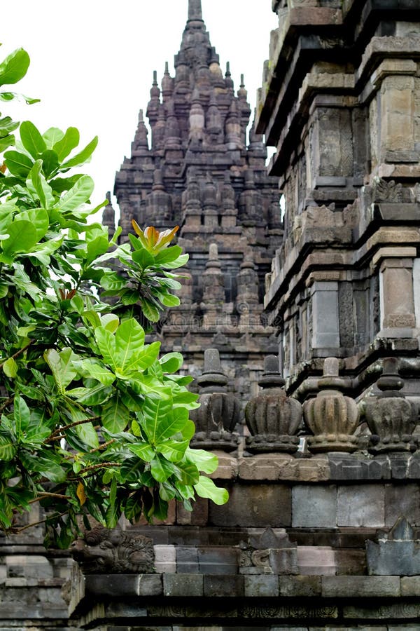 Tree and Prambanan Temples Panorama Stock Image - Image of hindu, java ...