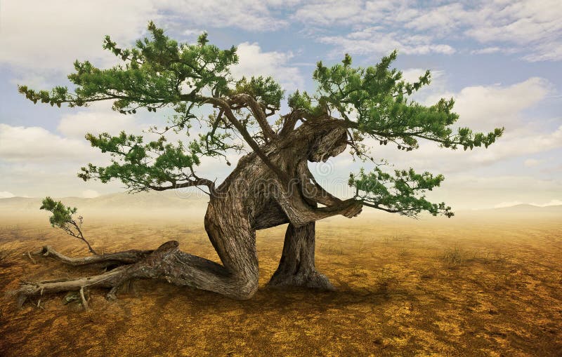 Surreal tree in lake stock illustration. Illustration of sunrise - 46280616