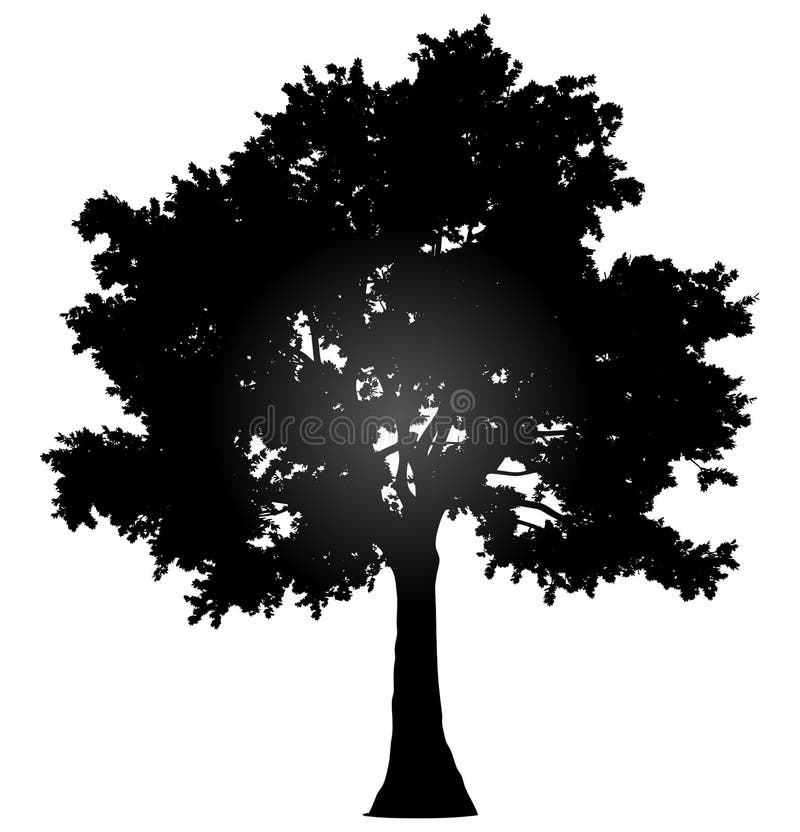 Tree Profile Silhouette Isolated - Black Outlined Gradient Detailed ...