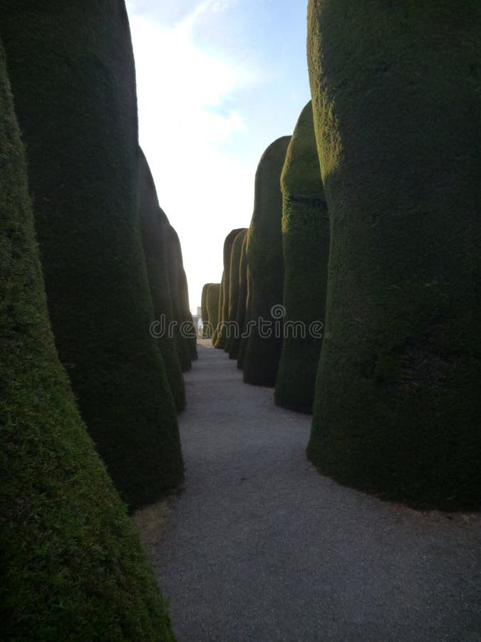 Tree Promenade at Cemeteery in Punta Arenas Stock Photo - Image of ...