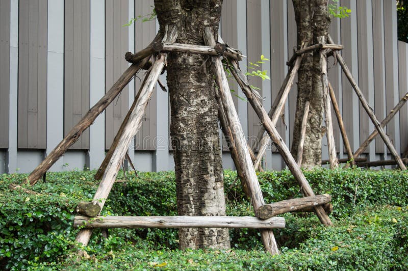 Tree prop stock photo. Image of supporting, nature, garden - 62525634