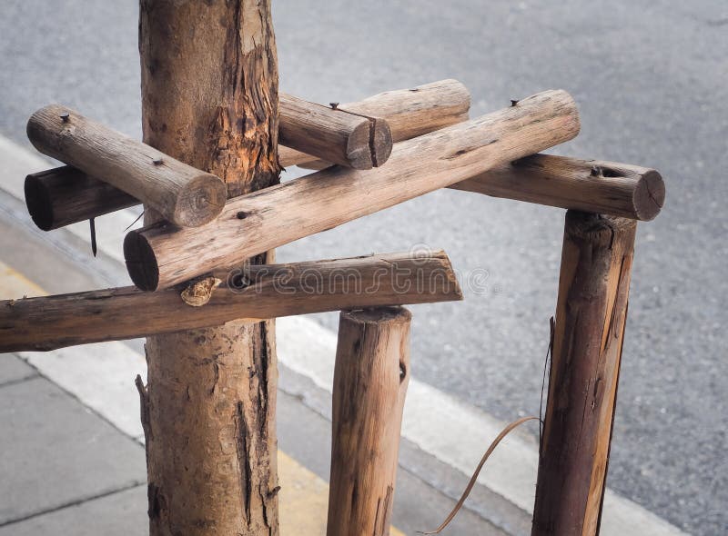 Tree Prop To Support Big Tree Stock Image - Image of wood, grow: 99696239