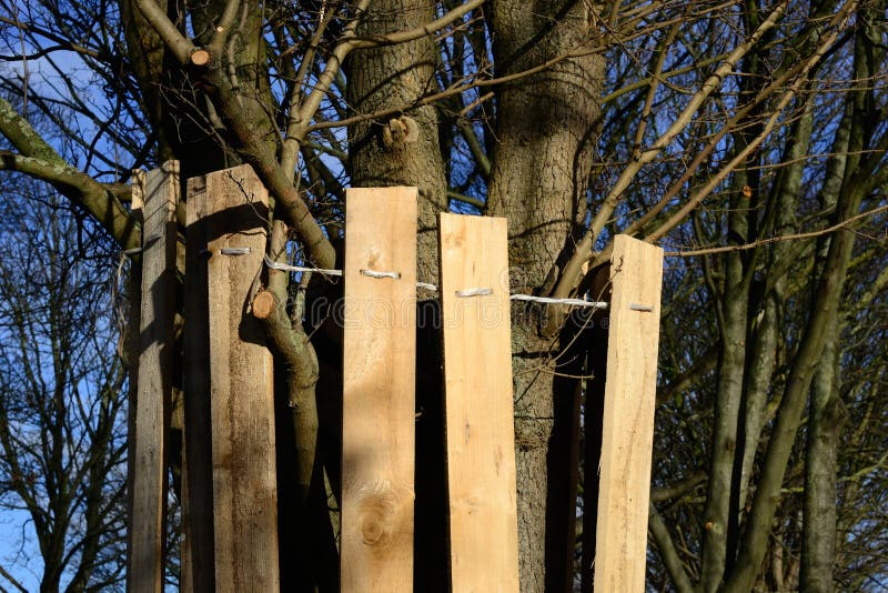Tree Protection stock photo. Image of bald, blue, laths - 29109848