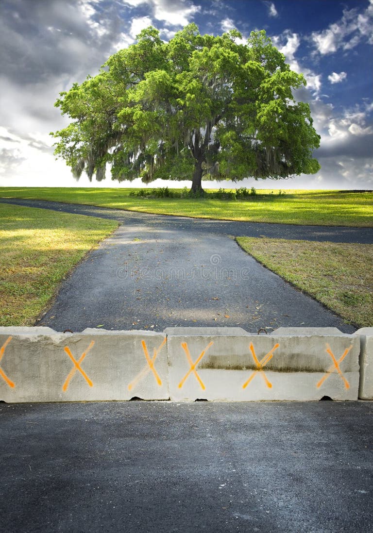 871 Road Split Tree Stock Photos - Free & Royalty-Free Stock Photos ...