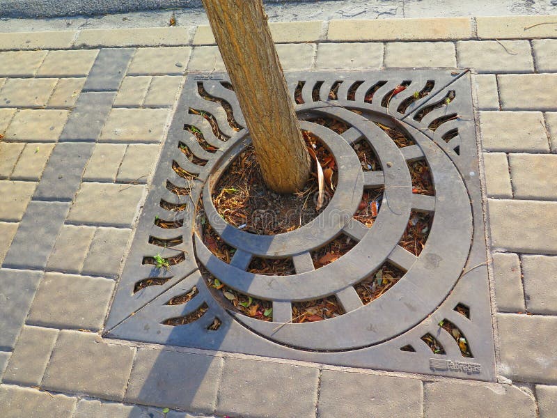 Tree Protection stock photo. Image of protection, andalucia - 59463166