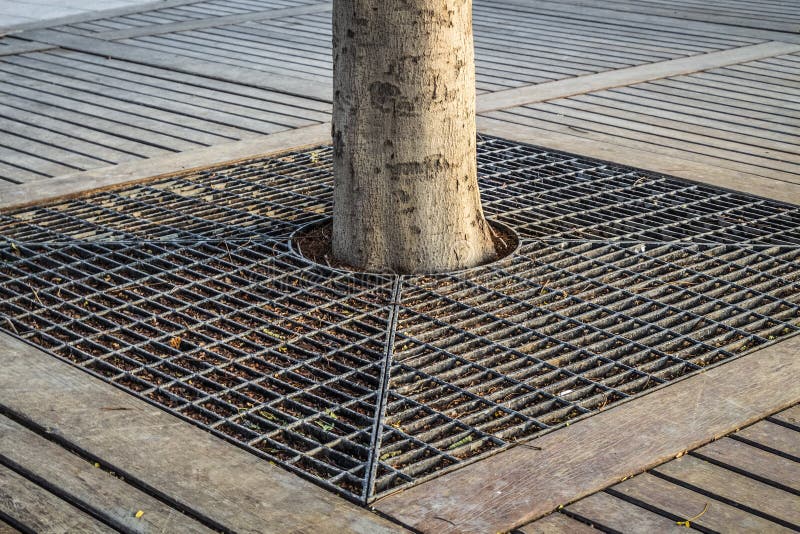 Tree Protection in the City Stock Photo - Image of landscaping ...