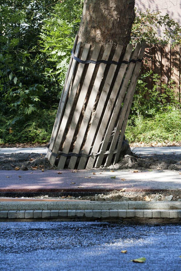 Tree protection stock photo. Image of lumber, construction - 44063056