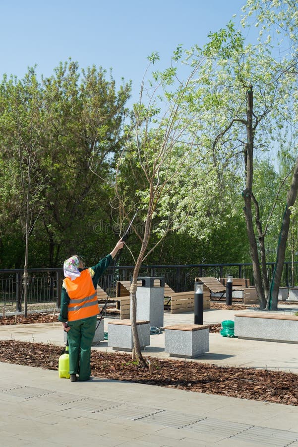 Tree protection editorial photo. Image of parkland, street - 238544406