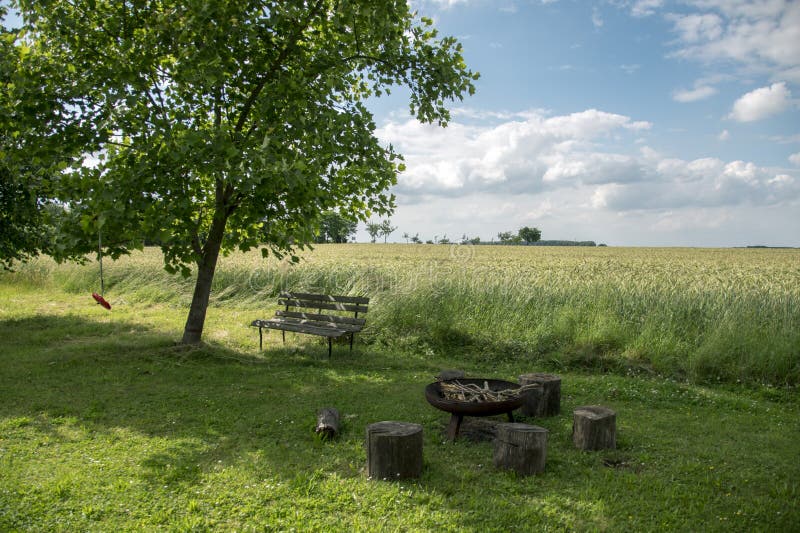 A Tree Provides Shade for a Resting Place in the Greenery Stock Image ...