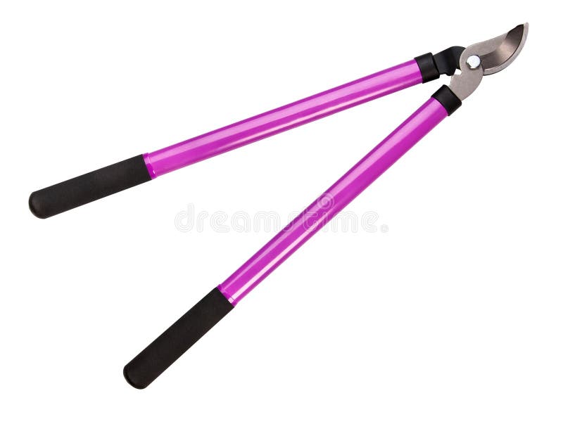 Tree Pruning Tools stock image. Image of trimmer, tool - 34308919