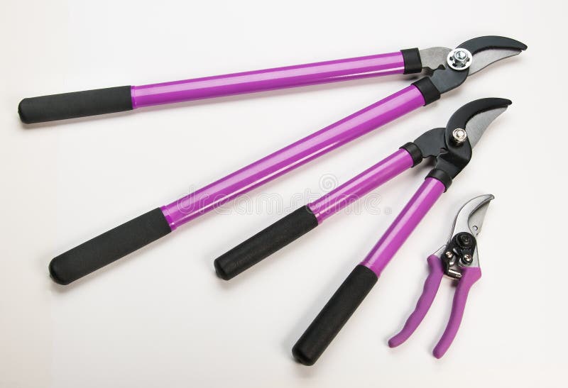 Tree Pruning Tools stock photo. Image of landscaping - 34308944