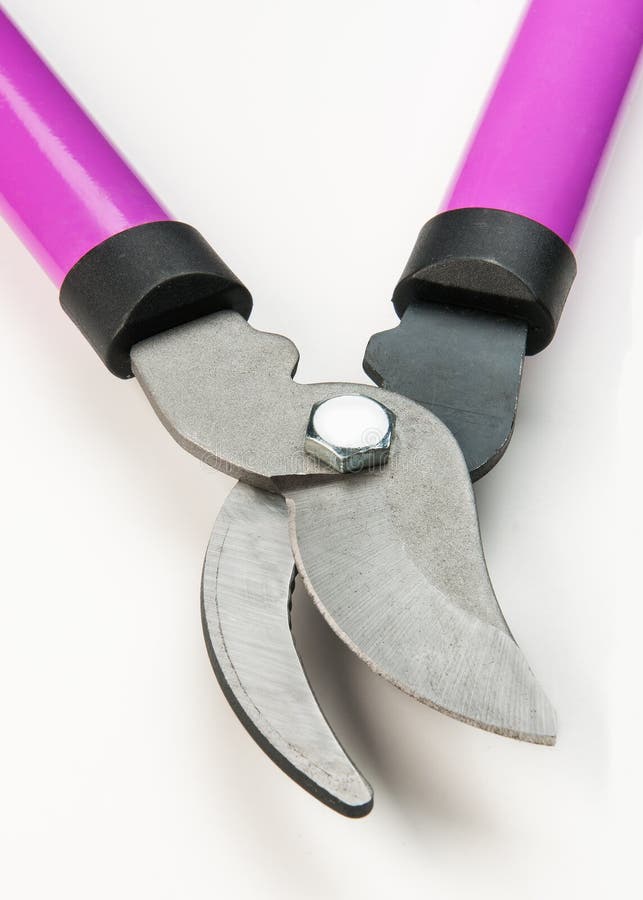 Tree Pruning Tools stock image. Image of trimmer, tool - 34308919