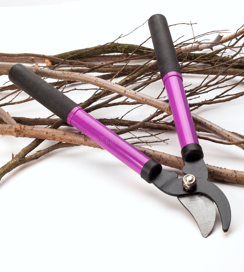 Tree Pruning Tools stock photo. Image of trim, cutters - 34308926