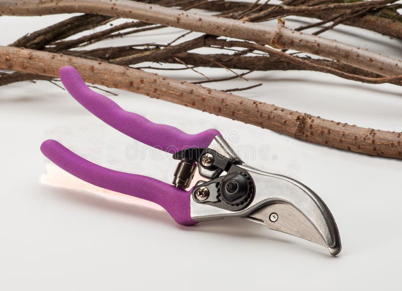 Tree Pruning Tools stock image. Image of sharpen, tools - 34308929
