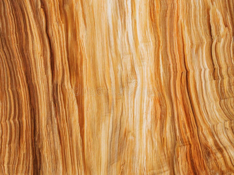 268,516 Raw Tree Stock Photos - Free & Royalty-Free Stock Photos from ...