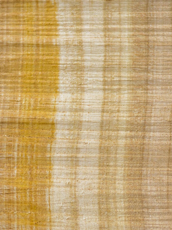 Tree stock image. Image of grain, design, nature, altered - 81932235