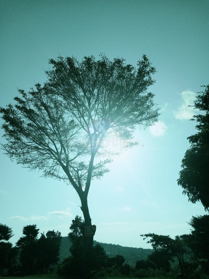 Tree Rays Sun Beautiful African Hills Stock Photo - Image of beautiful ...