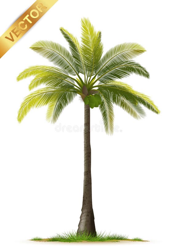 10,634 Realistic Fucking Cartoon Stock Photos - Free & Royalty-Free ...