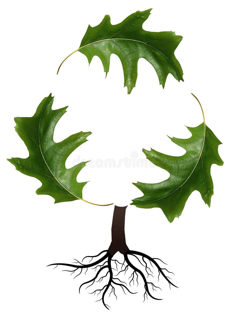 Recycle Symbol Tree Stock Illustrations – 44,159 Recycle Symbol Tree ...