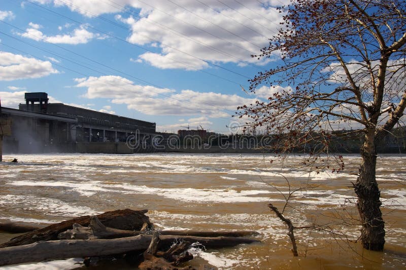 Tree, Red River and Powerstation. Stock Photo - Image of river ...