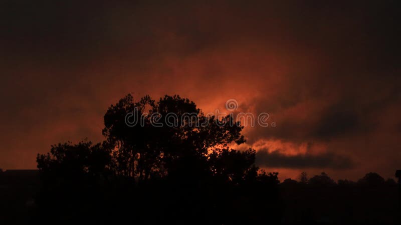 Tree Silhouette with Red Sunset Stock Photo - Image of tree, clouds ...