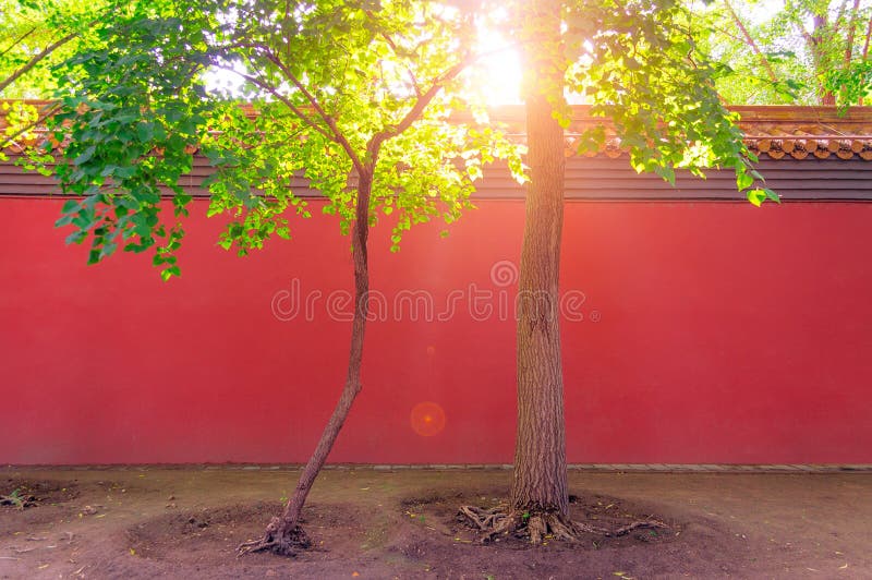 Sunset on the Red Wall of Beijing Stock Photo - Image of sunset, asia ...